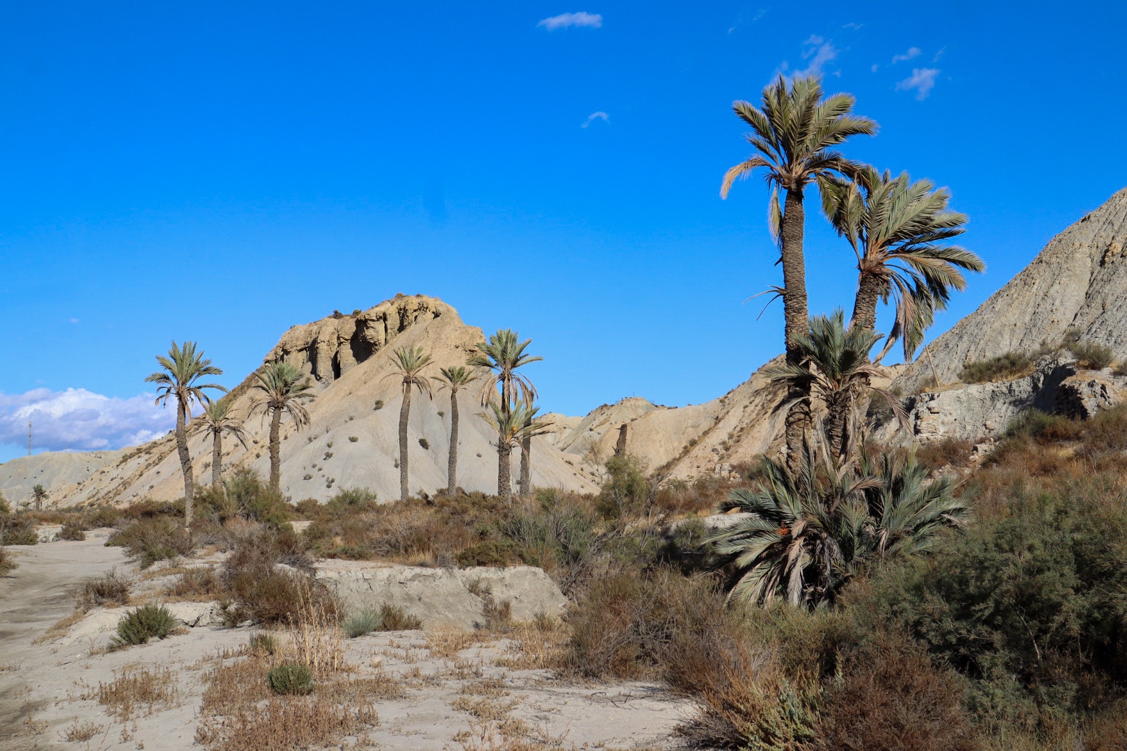 Deux déserts incontournables en Andalousie : Gorafe et Tabernas